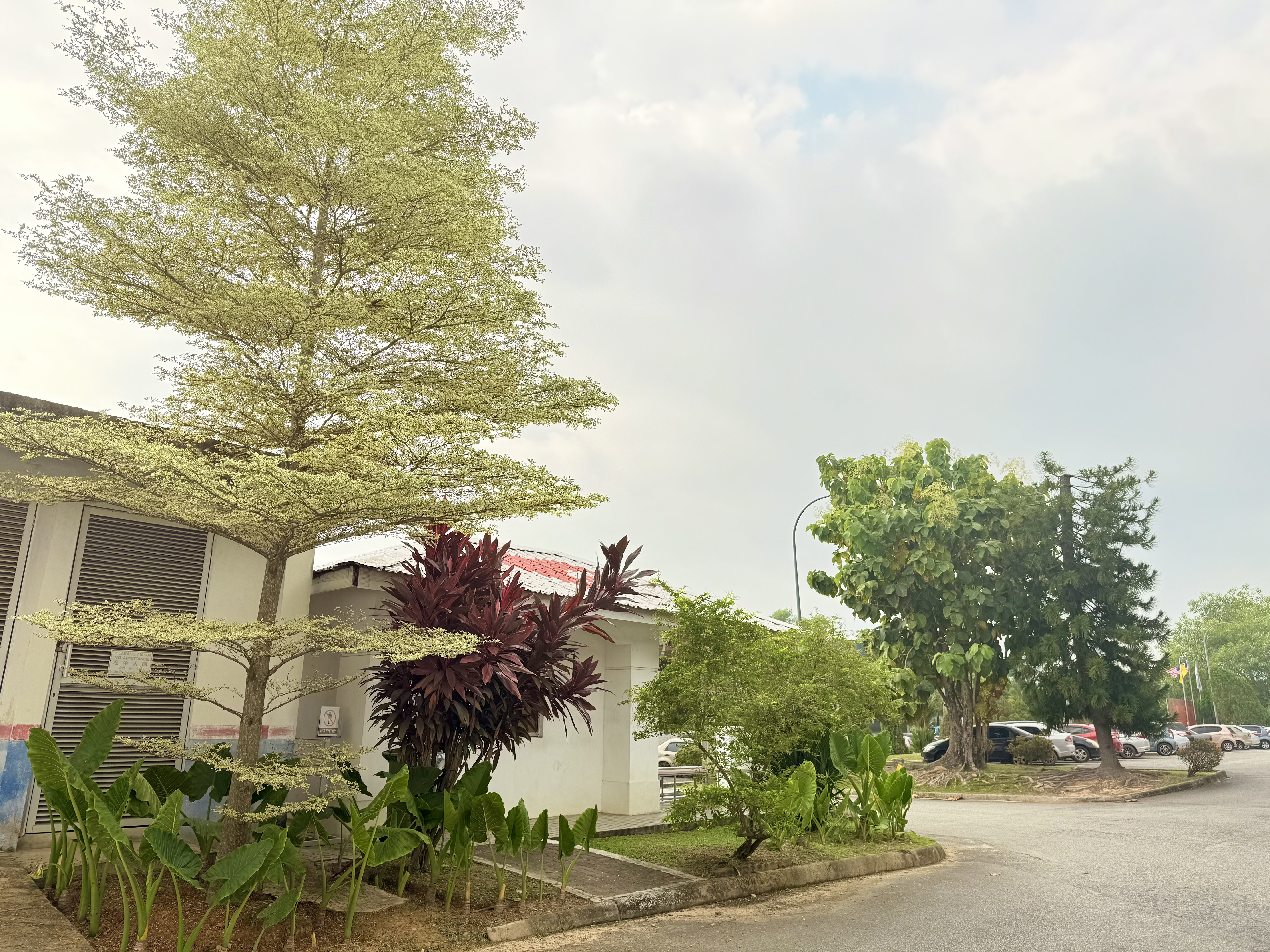 Our Facilities | Company, Garden & Staff Hostel